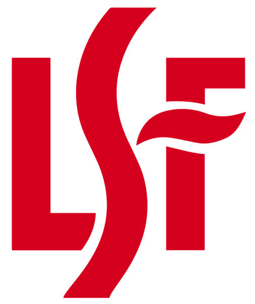 LSF Family Focus – LSF Family Focus – Strengthening Families and ...